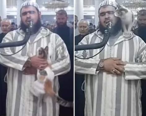 VIDEO: Cat Climbs on Imam Leading Ramadan Prayers - Gotta News